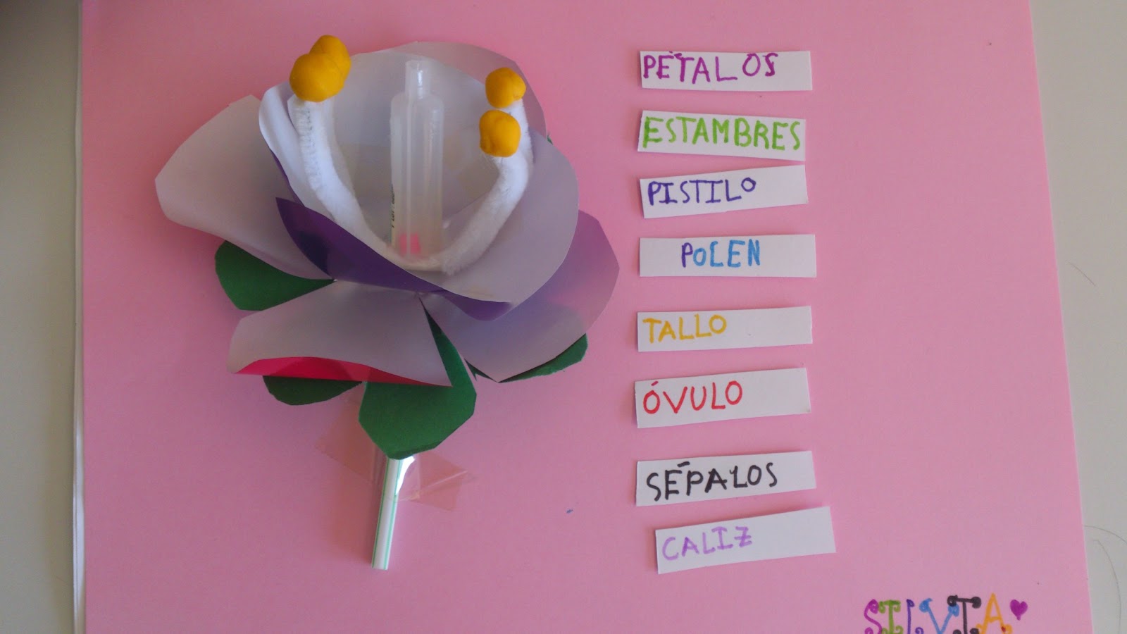 Mil recursos: LAS PARTES DE LA FLOR